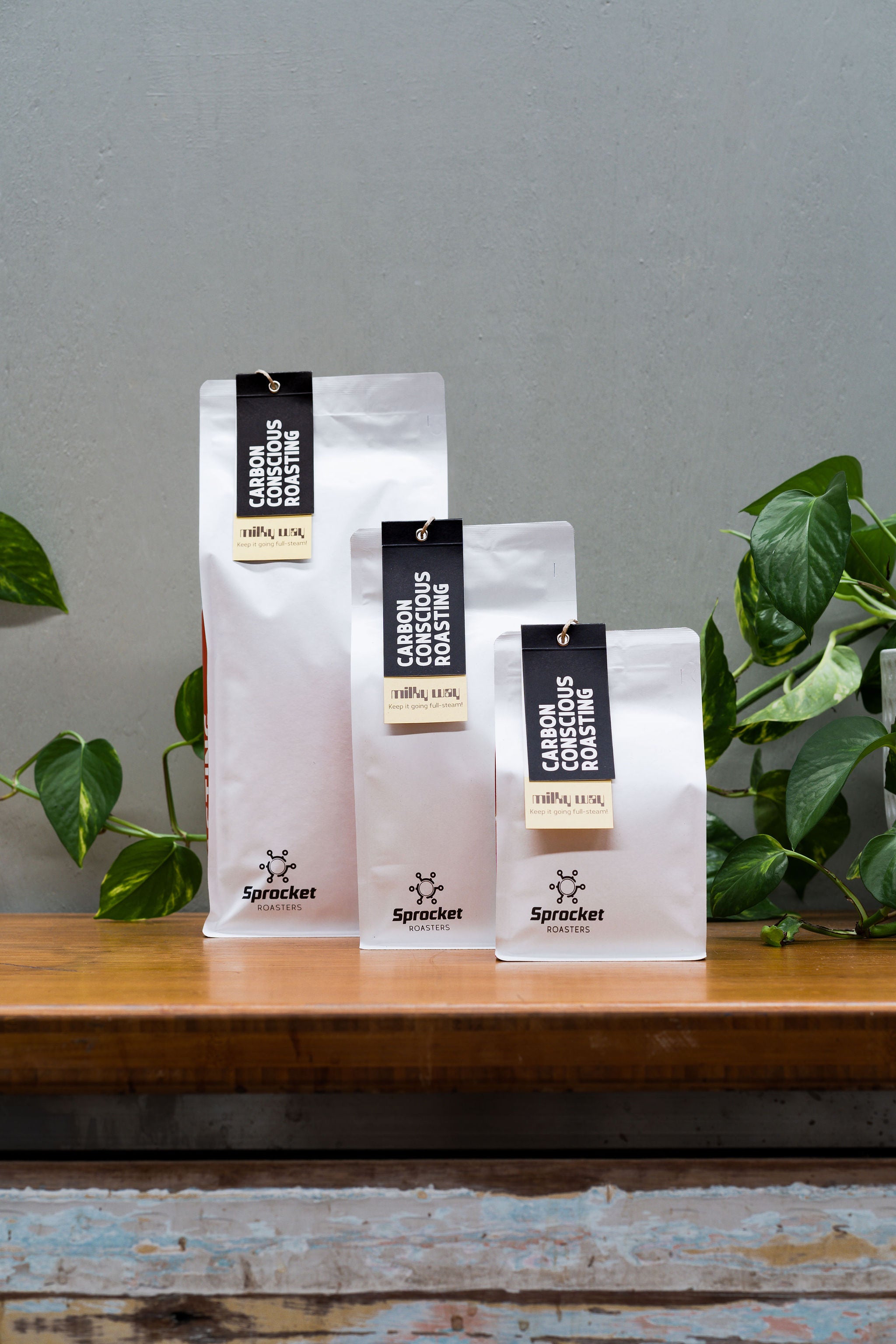 Milky Way | Coffee Blends